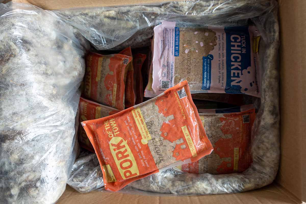 Butternut Box Vs Raw Dog Food: What's The Difference?