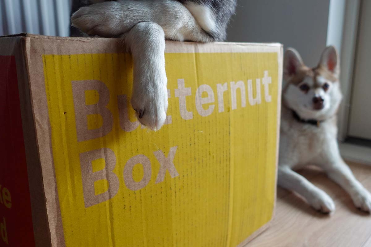 Butternut Box Vs Tails: What's The Difference? Tried & Tested