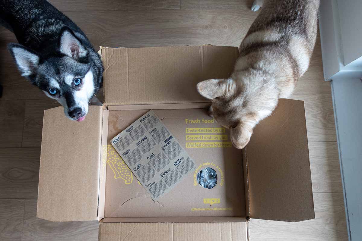 Butternut Box Vs Different Dog: What's The Difference?