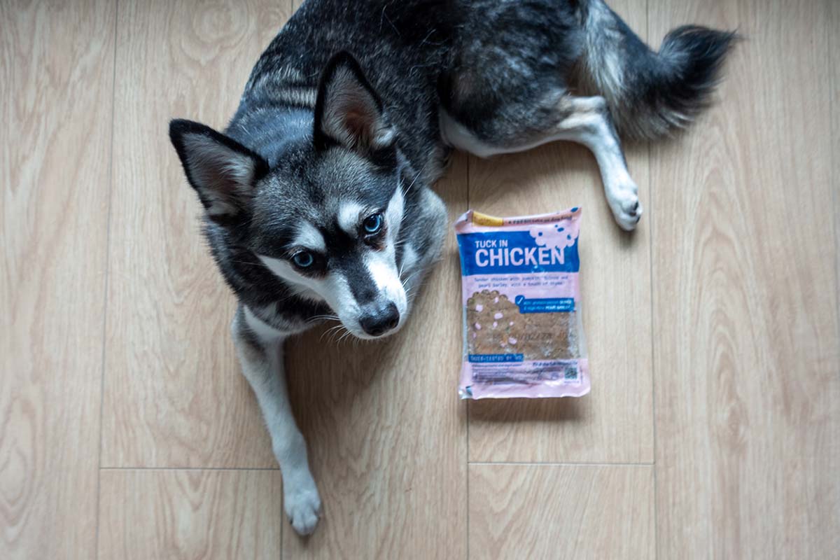 Butternut Box Vs Forthglade: What's The Difference?