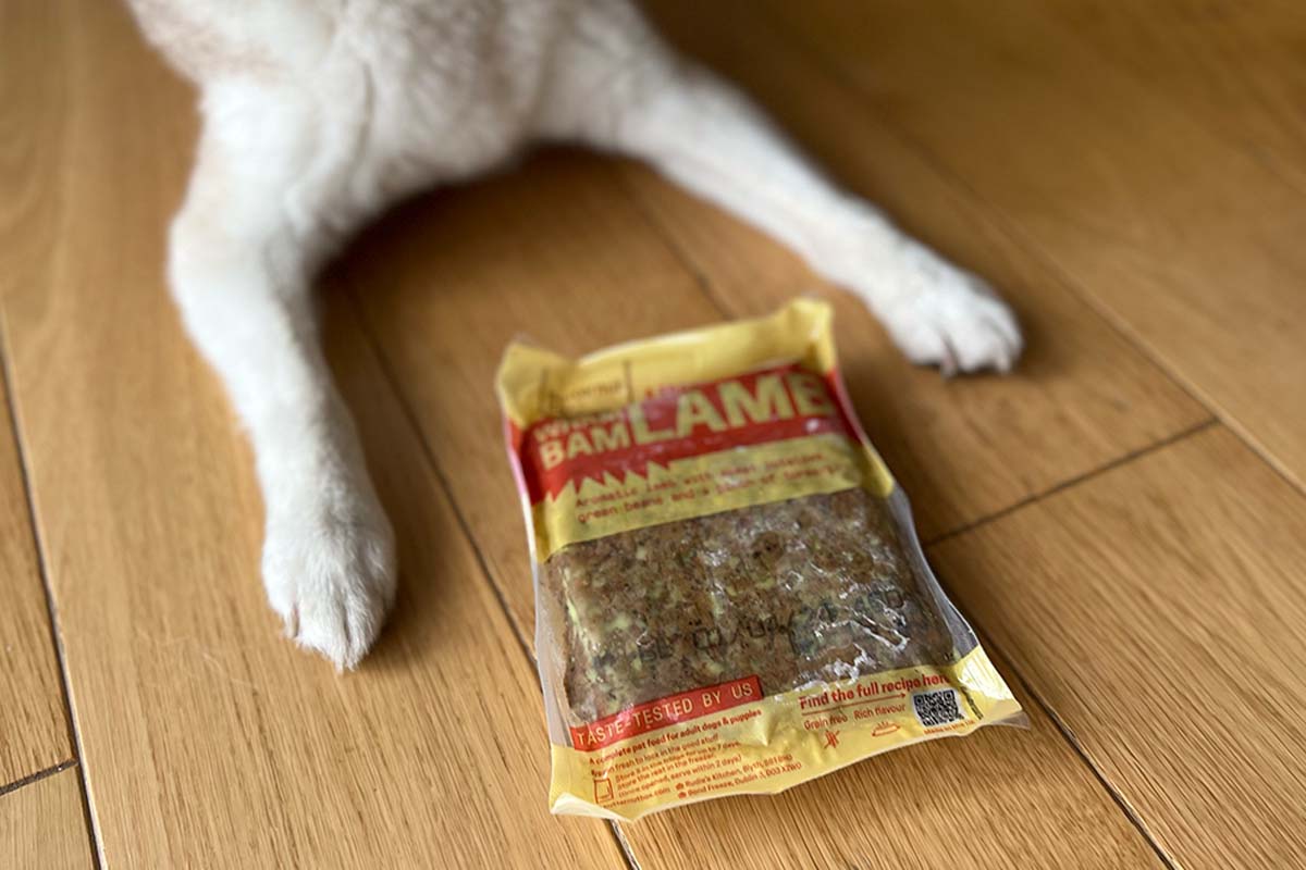 Butternut Box Vs Raw Dog Food: What's The Difference?