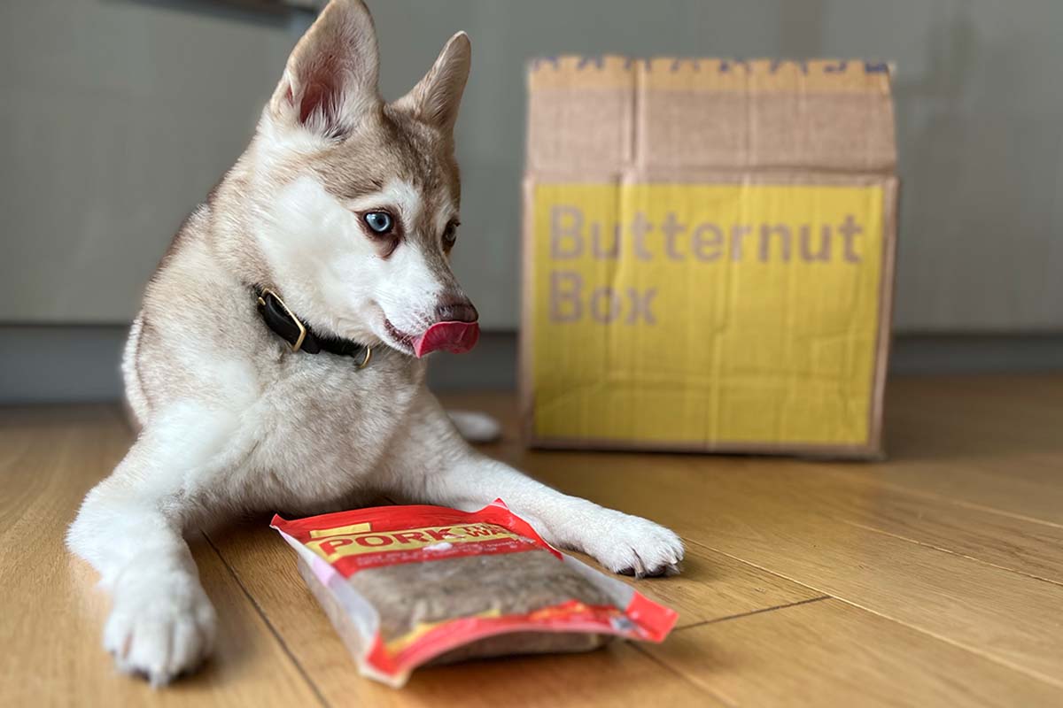 Butternut Box Vs Raw Dog Food: What's The Difference?