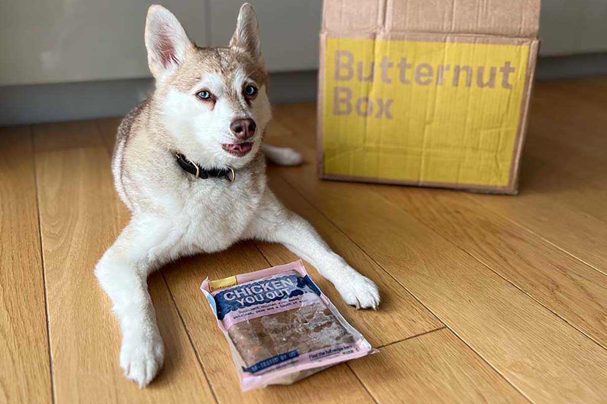 Butternut Box Pros And Cons: Picky Eater Experience