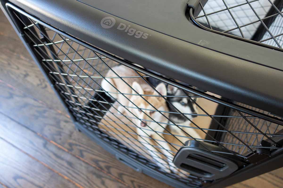 Best Dog Crates For Tesla Model Y - Tested & Reviewed