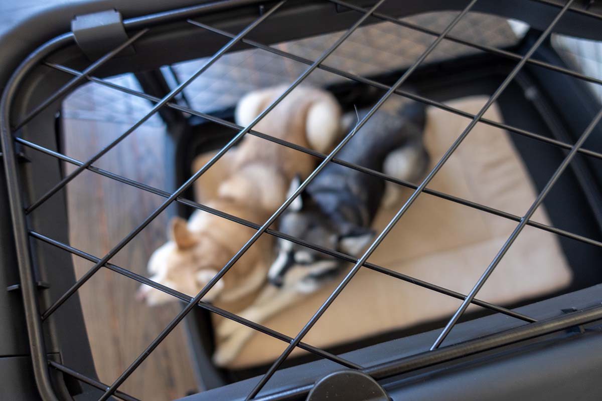Best Dog Crates For Tesla Model Y - Tested & Reviewed