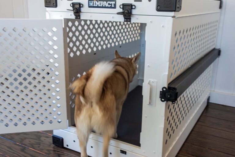 Impact Collapsible Dog Crate Pros & Cons - Our Honest Review
