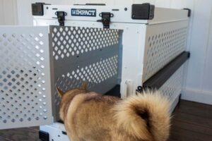 Impact Collapsible Dog Crate Vs Gunner G1 Kennel: Our Verdict