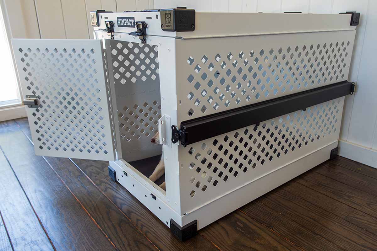 Best Collapsible Dog Crates For Small Dogs - Tested & Reviewed