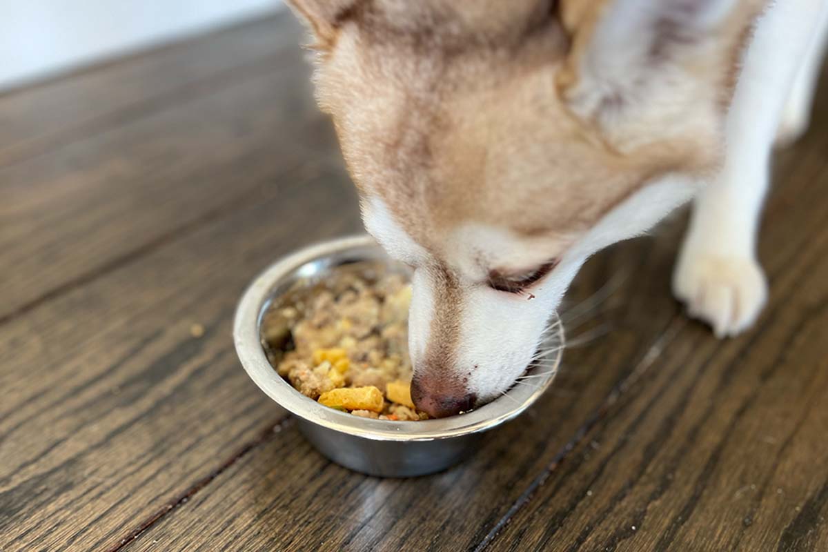 The Farmer's Dog Vs Nom Nom: What's The Difference?