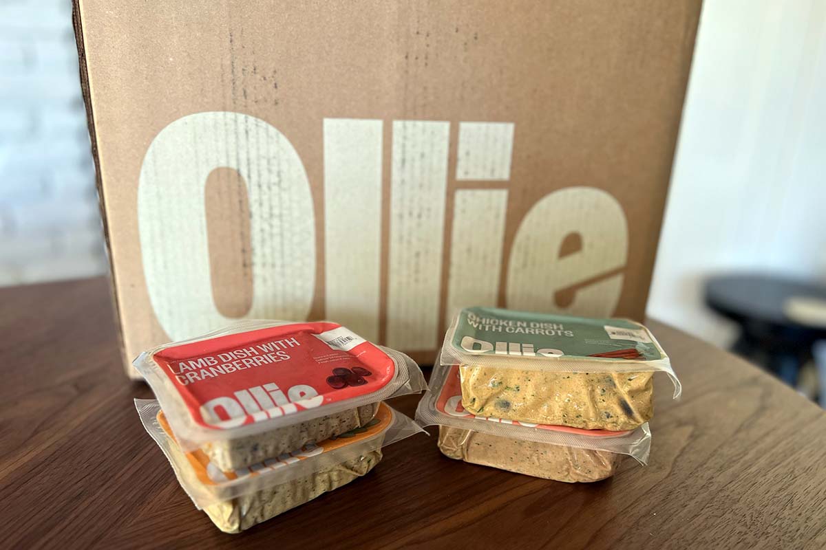 UnKibble Vs Ollie (2026): Which Dog Food Is Better?