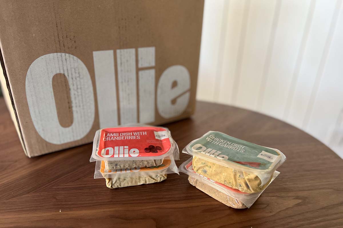 The Farmer's Dog Vs Ollie Dog Food: What's The Difference?