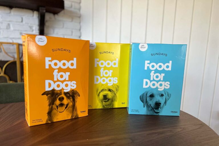 How Much Is Sundays Food For Dogs? Is It Worth It? Our Verdict