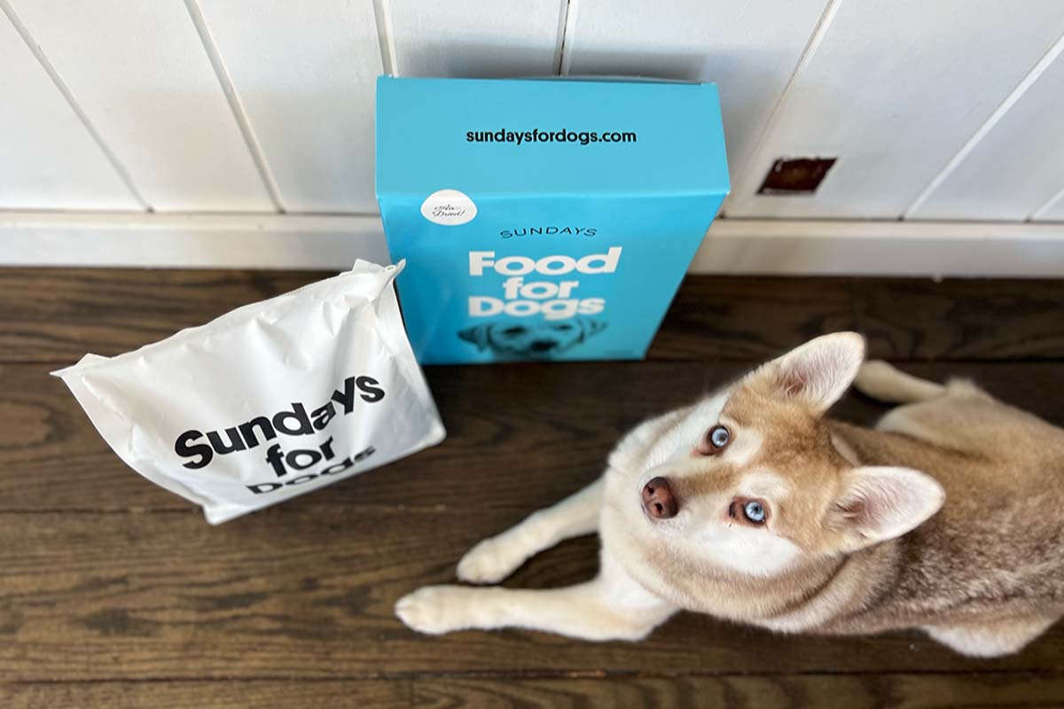 Sundays Dog Food Price (2026): Is The Cost Worth It?