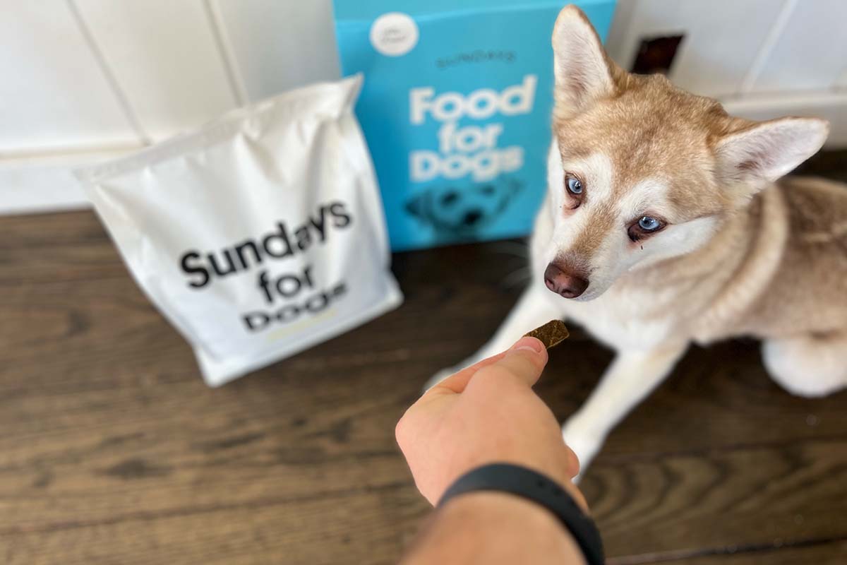Sundays Food For Dogs: Pros And Cons, Our Honest Verdict