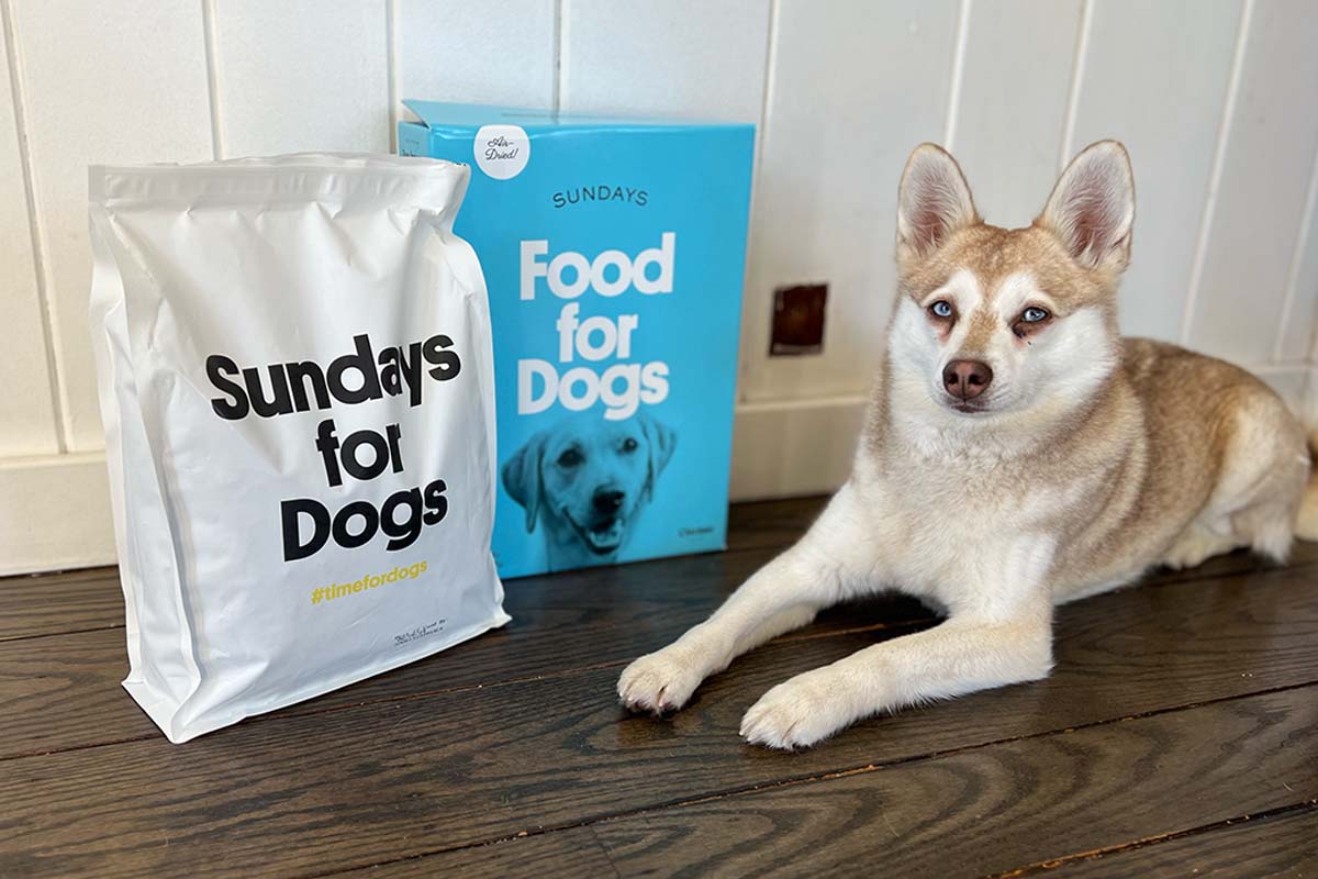 Sundays For Dogs Vs The Honest Kitchen: What's The Difference?