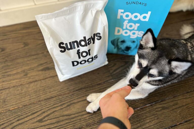 Sundays Food For Dogs: Pros And Cons, Our Honest Verdict