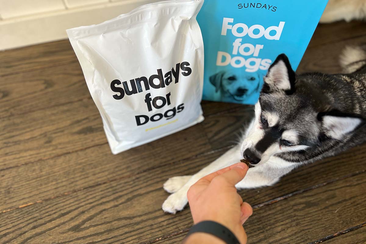 Best Alternatives to The Farmer’s Dog (2026): Tested On Picky Dog