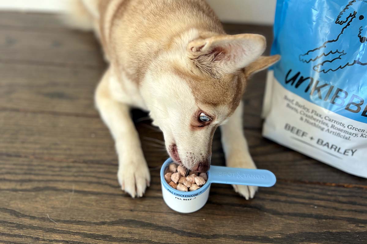 UnKibble Vs The Honest Kitchen: What's The Difference?