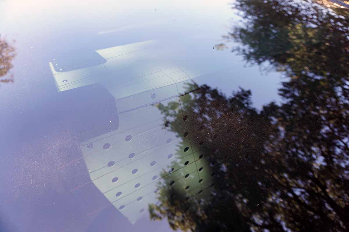 Best Dog Crates For Tesla Model Y - Tested & Reviewed