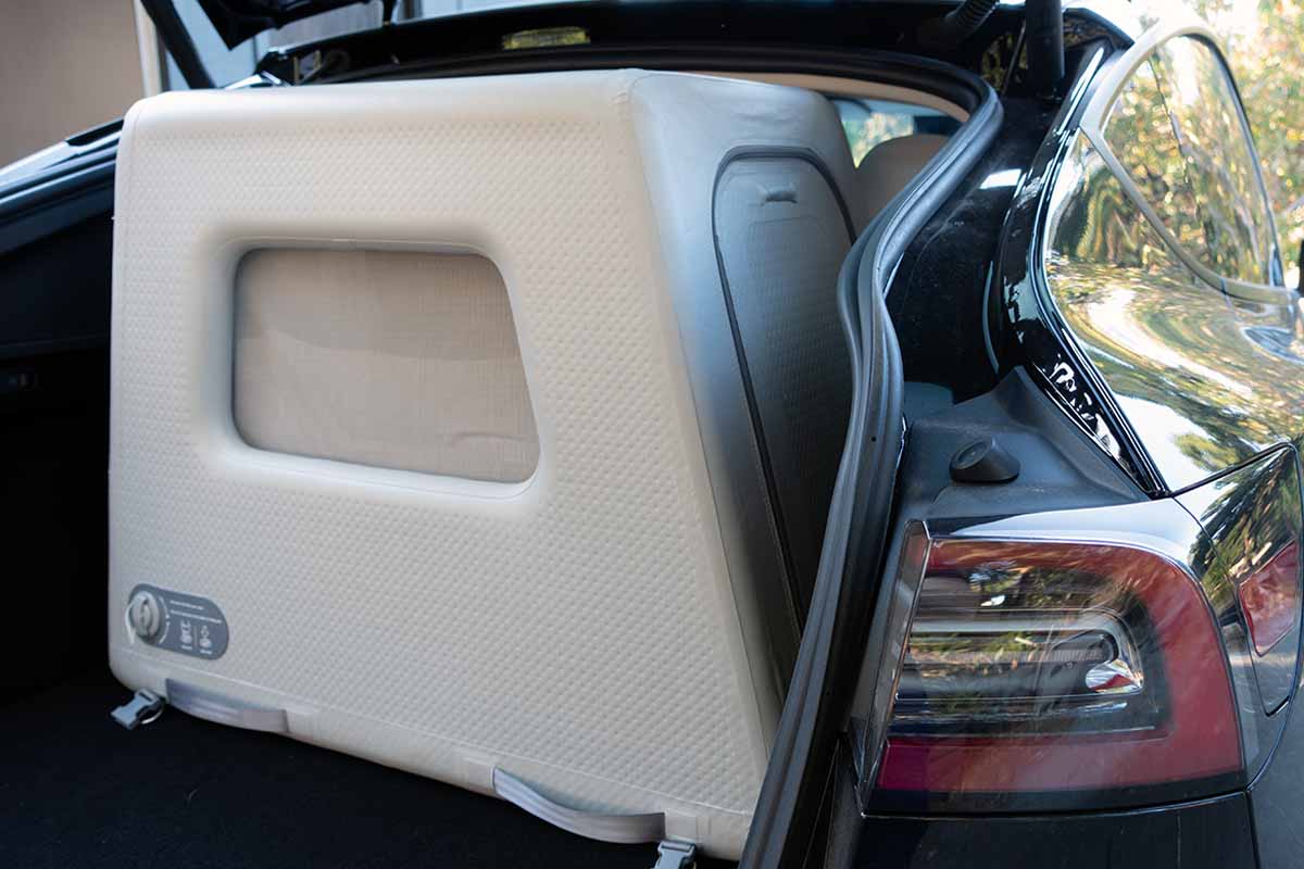 Best Dog Crates For Tesla Model Y - Tested & Reviewed