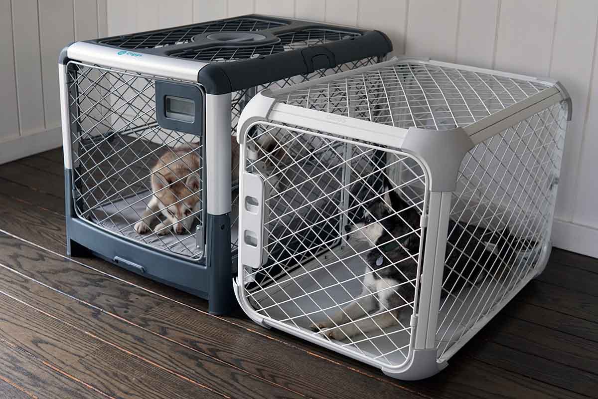 Diggs Evolv Vs Revol Dog Crates: What's The Difference?