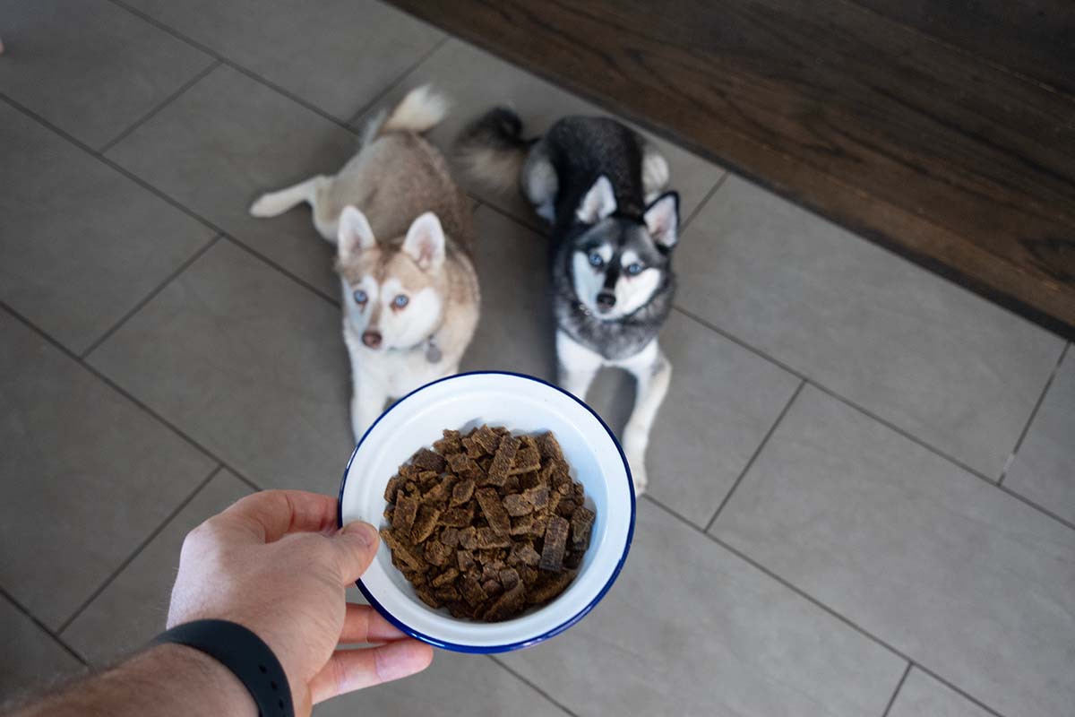 Sundays For Dogs Vs Badlands Ranch: What's The Difference?