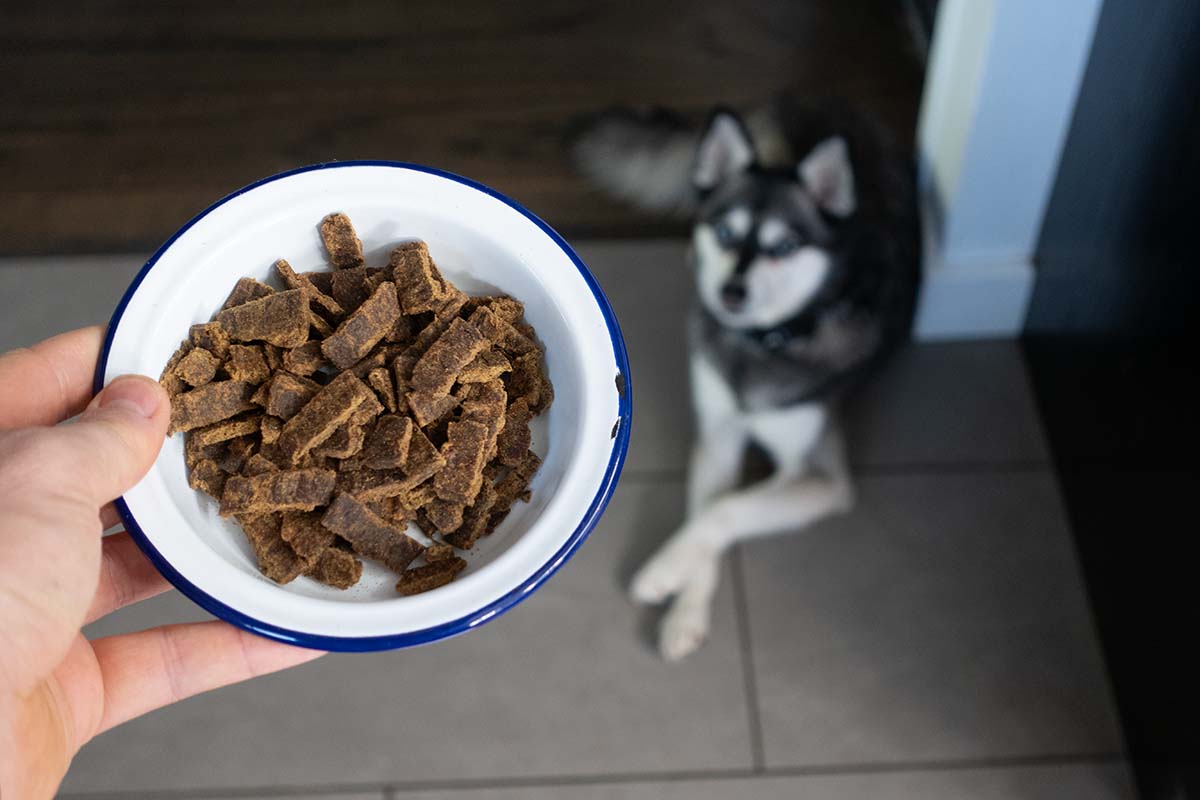 Sundays For Dogs Vs Badlands Ranch: What's The Difference?