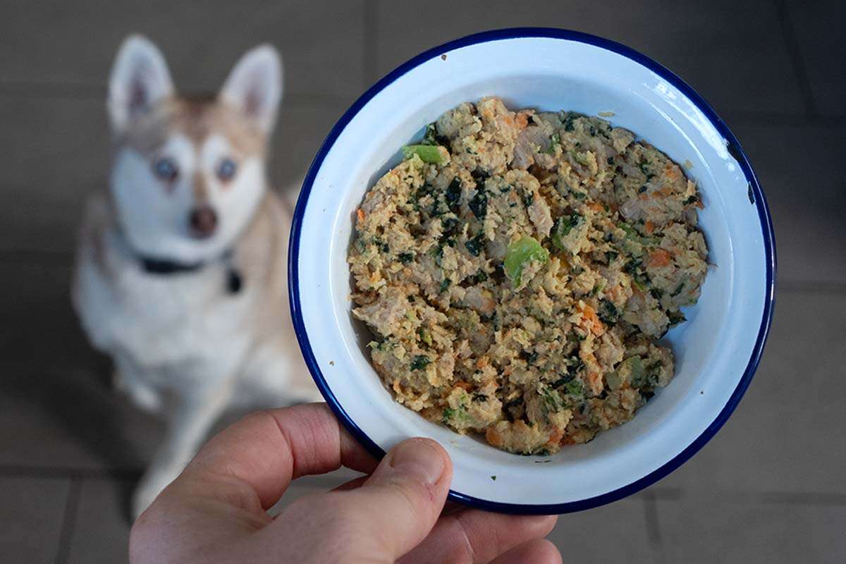 The Pets Table vs The Farmer’s Dog (2026): Which Is Better?