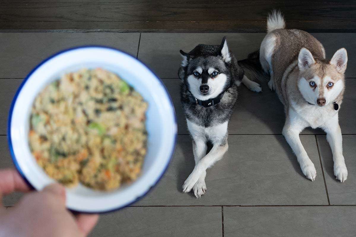 The Pets Table Vs The Farmer's Dog: What's The Difference?