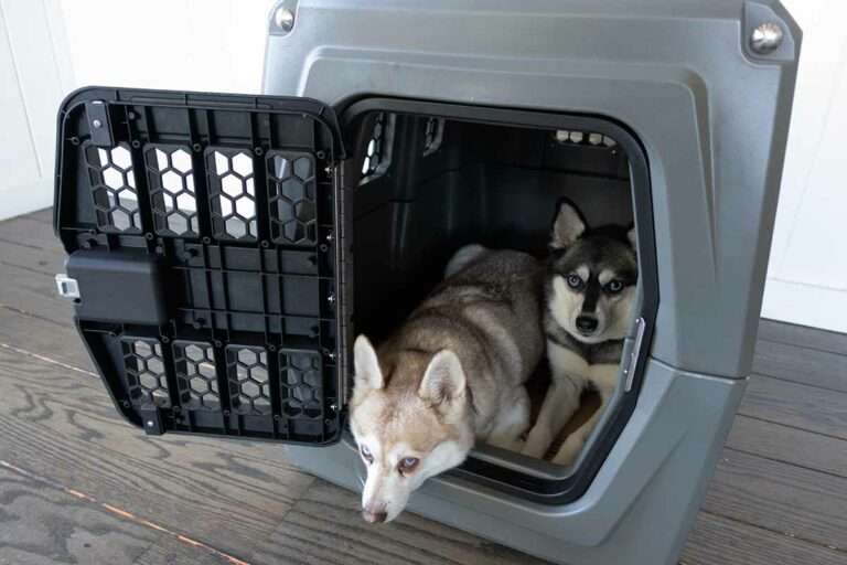 Impact Collapsible Dog Crate Vs Gunner G1 Kennel: Our Verdict