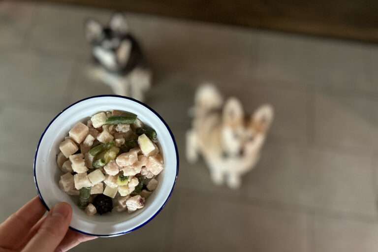 Maev Raw Food Vs The Farmer's Dog: What's The Difference?