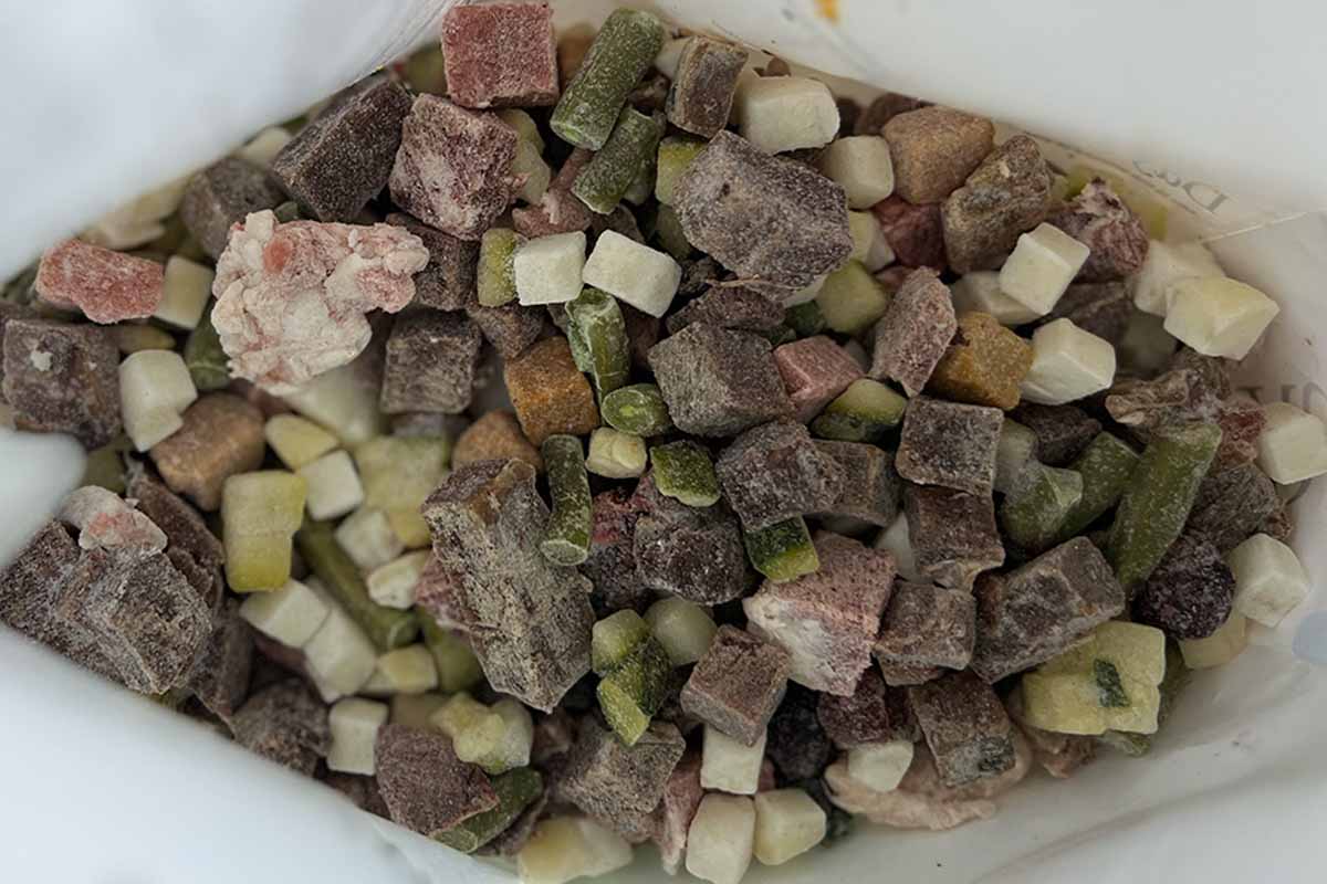 Maev Vs We Feed Raw: What's The Difference? Best Raw food?