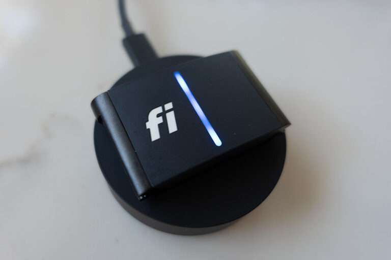 Fi Series 3 Dog Collar Pros And Cons: Tried & Tested