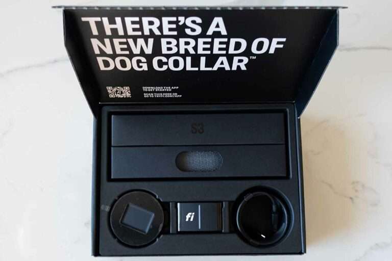Fi Series 3 Dog Collar Pros And Cons: Tried & Tested