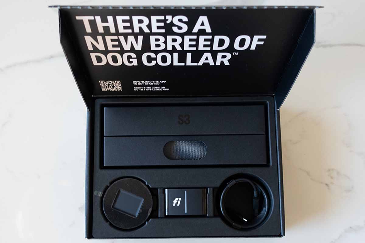 Fi Series 3 Dog Collar Pros And Cons: Tried & Tested