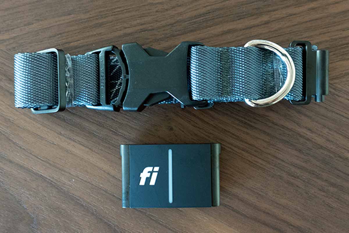 Fi Series 3 Dog Collar Pros And Cons: Tried & Tested