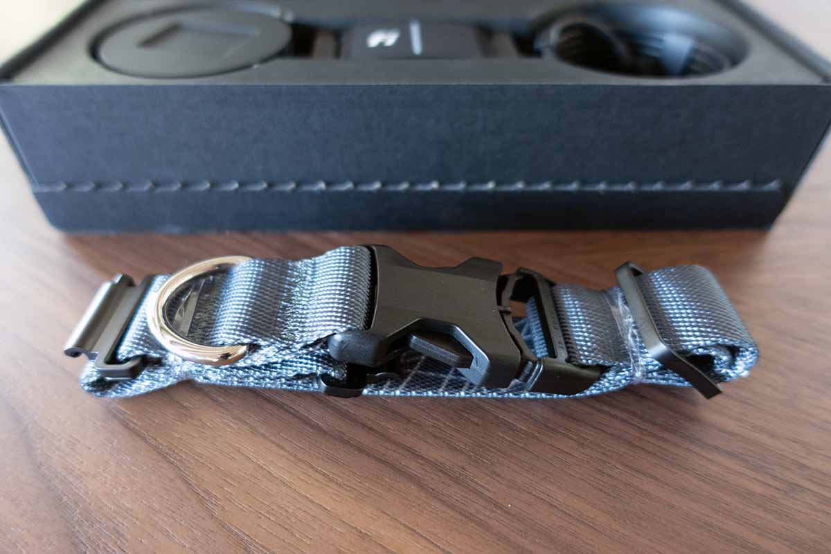 Fi Series 3+ Review (2026): Is This GPS Dog Collar Worth It?