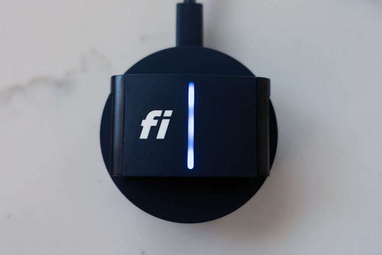 Fi Series 3+ Review (2026): Is This GPS Dog Collar Worth It?