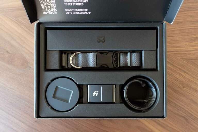 How Much Does Fi Series 3 Cost Per Month? Is Fi Collar Worth It?