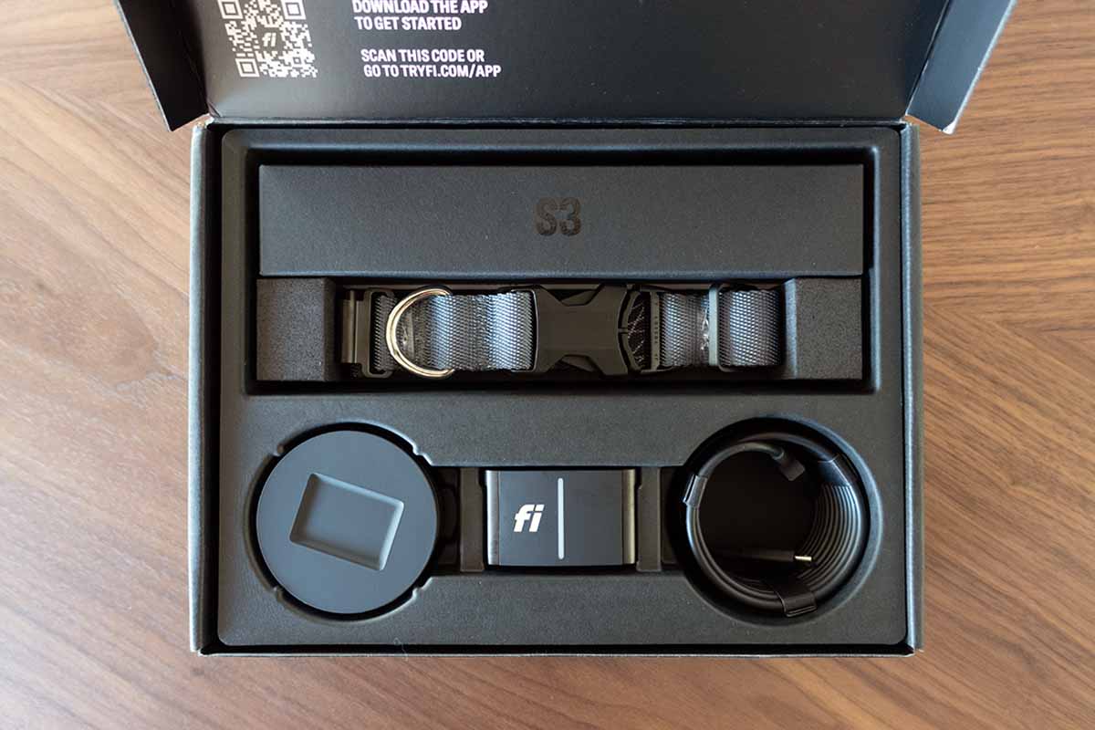 How Much Does Fi Series 3 Cost Per Month? Is Fi Collar Worth It?
