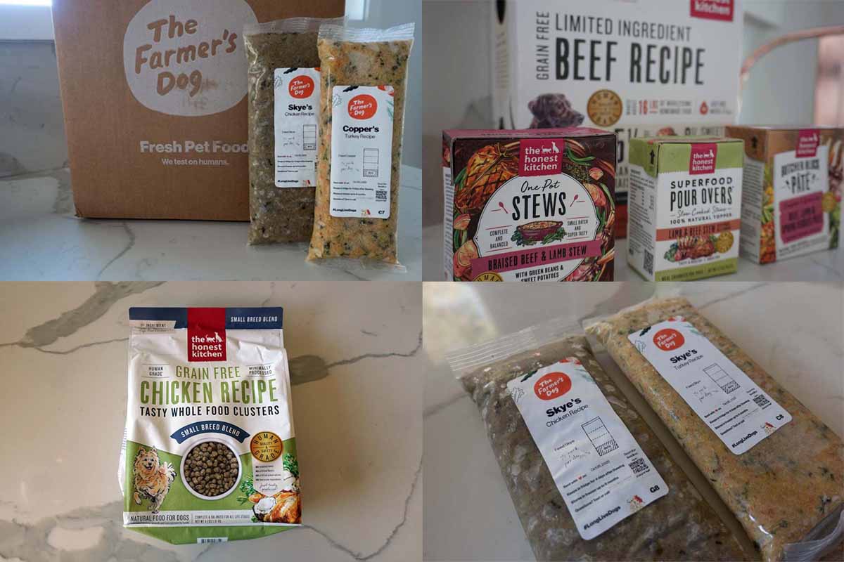 The Farmer's Dog Vs The Honest Kitchen: What's The Difference?