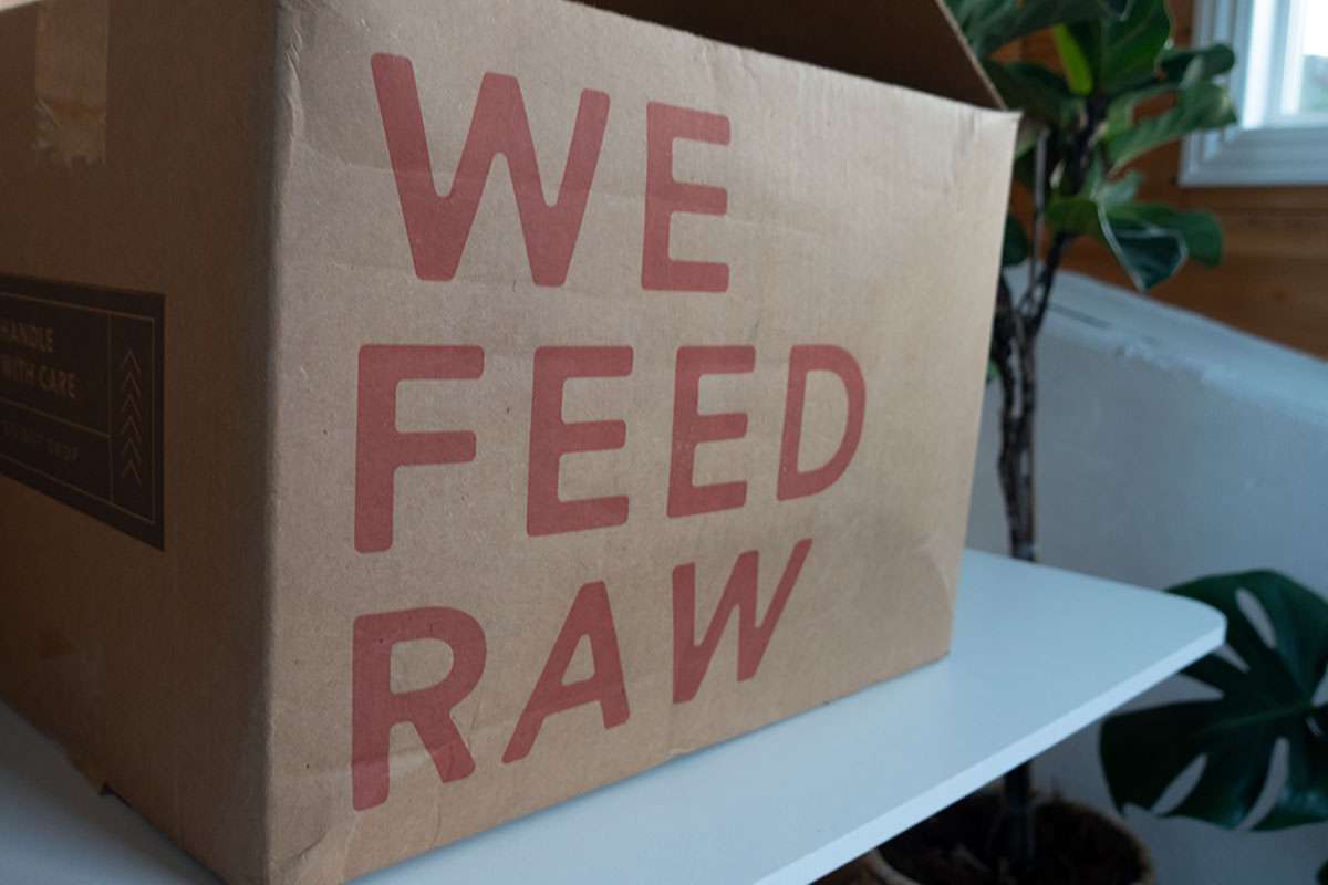 Maev Vs We Feed Raw: What's The Difference? Best Raw food?