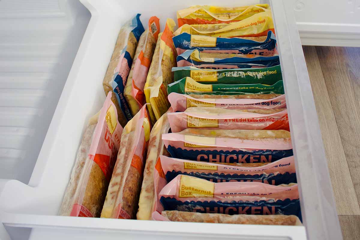 Butternut Box Vs Lily's Kitchen: What's The Difference?