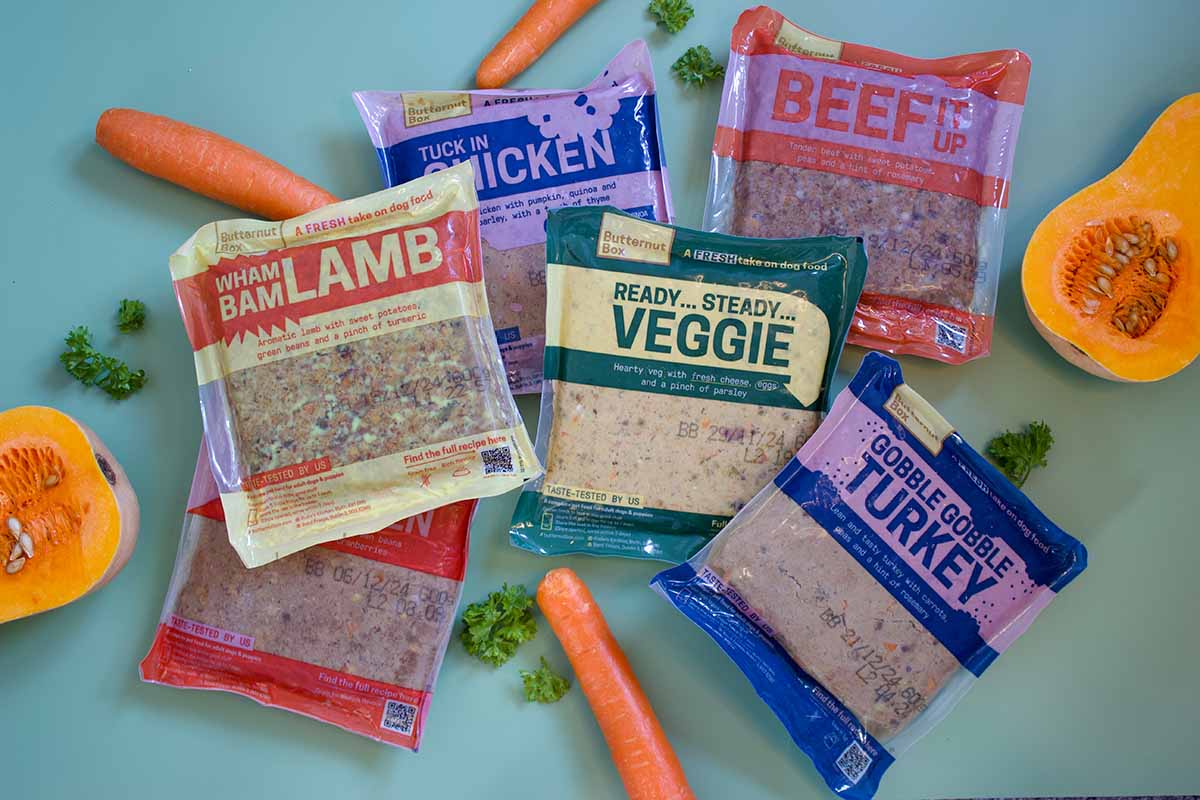 Butternut Box Review - Tried & Tested On Picky Eaters