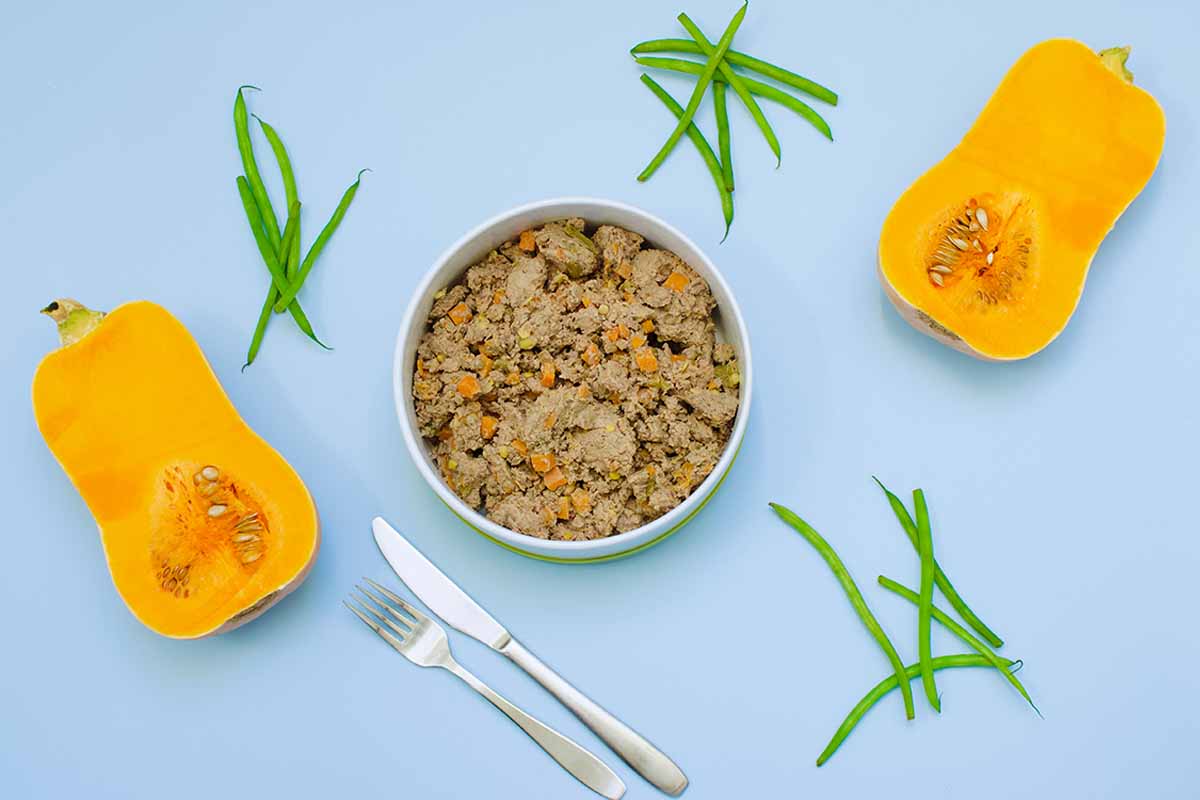 Butternut Box Pros And Cons: Picky Eater Experience