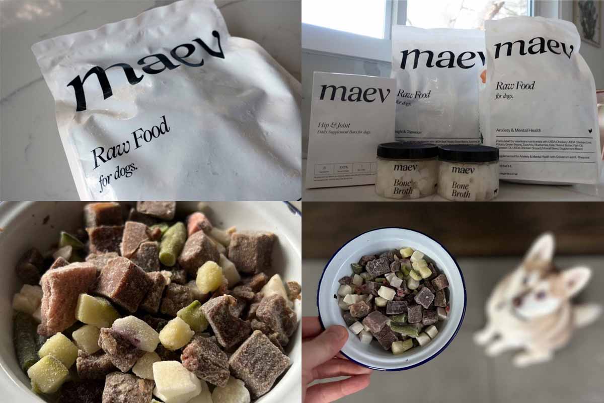 Best Dog Food For Picky Eaters: Tested By My Fussy Pets