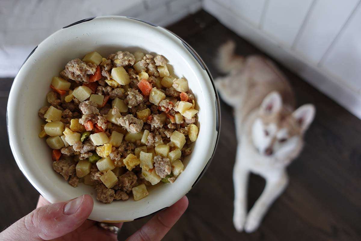 Nom Nom Review (2026): Honest Pros, Cons & Is It Worth It?