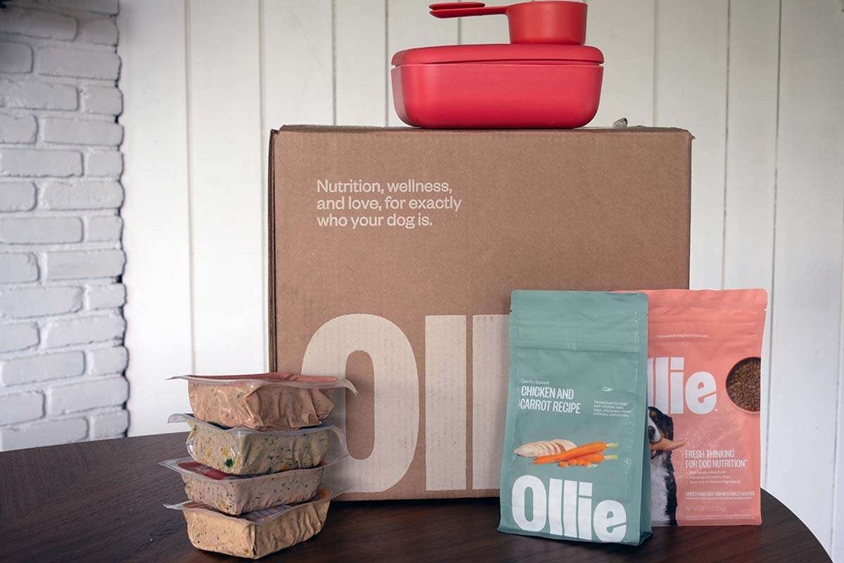 The Farmer's Dog Vs Ollie Dog Food: What's The Difference?
