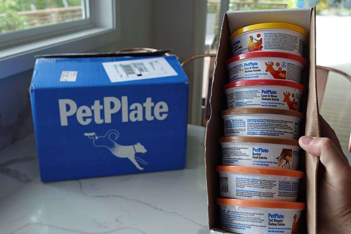 The Farmer's Dog Vs Pet Plate: What's The Difference? Our Verdict