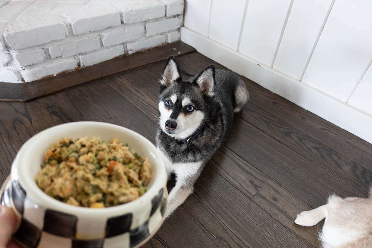 The Pets Table vs The Farmer’s Dog (2026): Which Is Better?